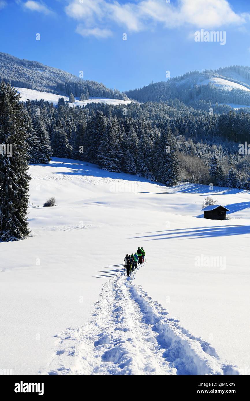 Snowshoe hike on the Beilenberg in a wonderful winter landscape ...
