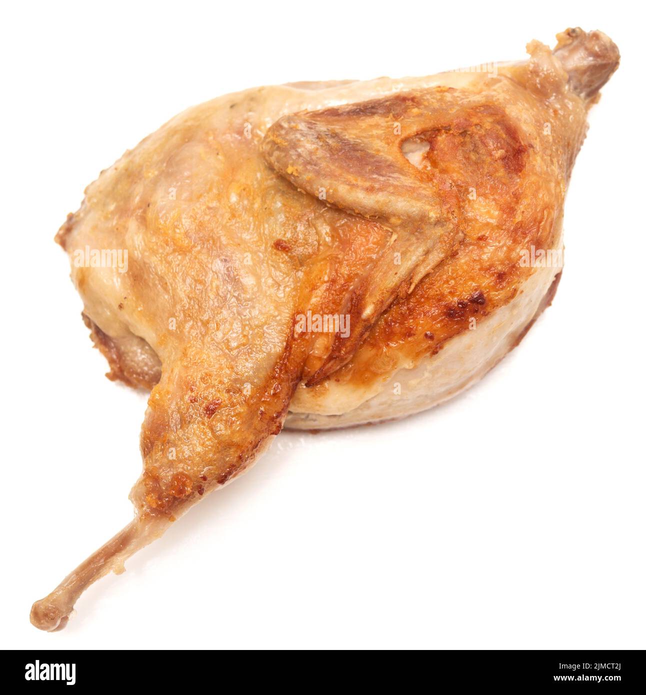 Quail hen Cut Out Stock Images & Pictures - Alamy