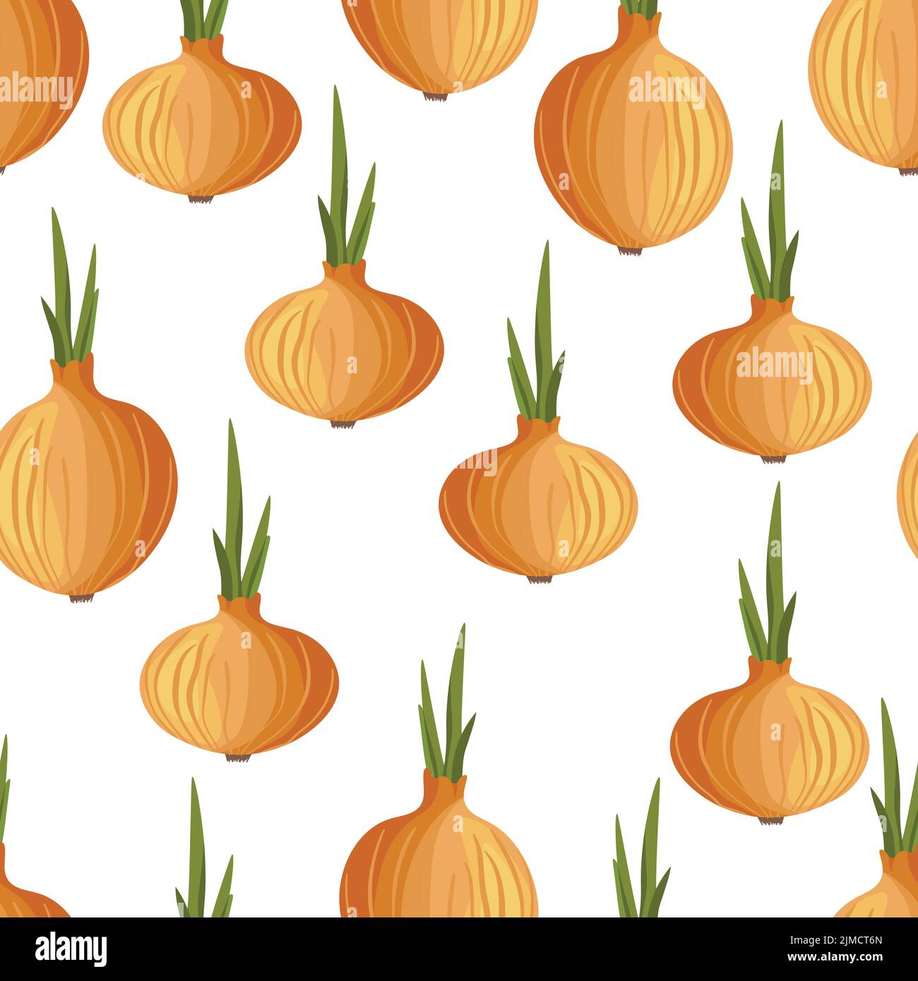 Seamless pattern with bitter golden onion on white background. Summer ...