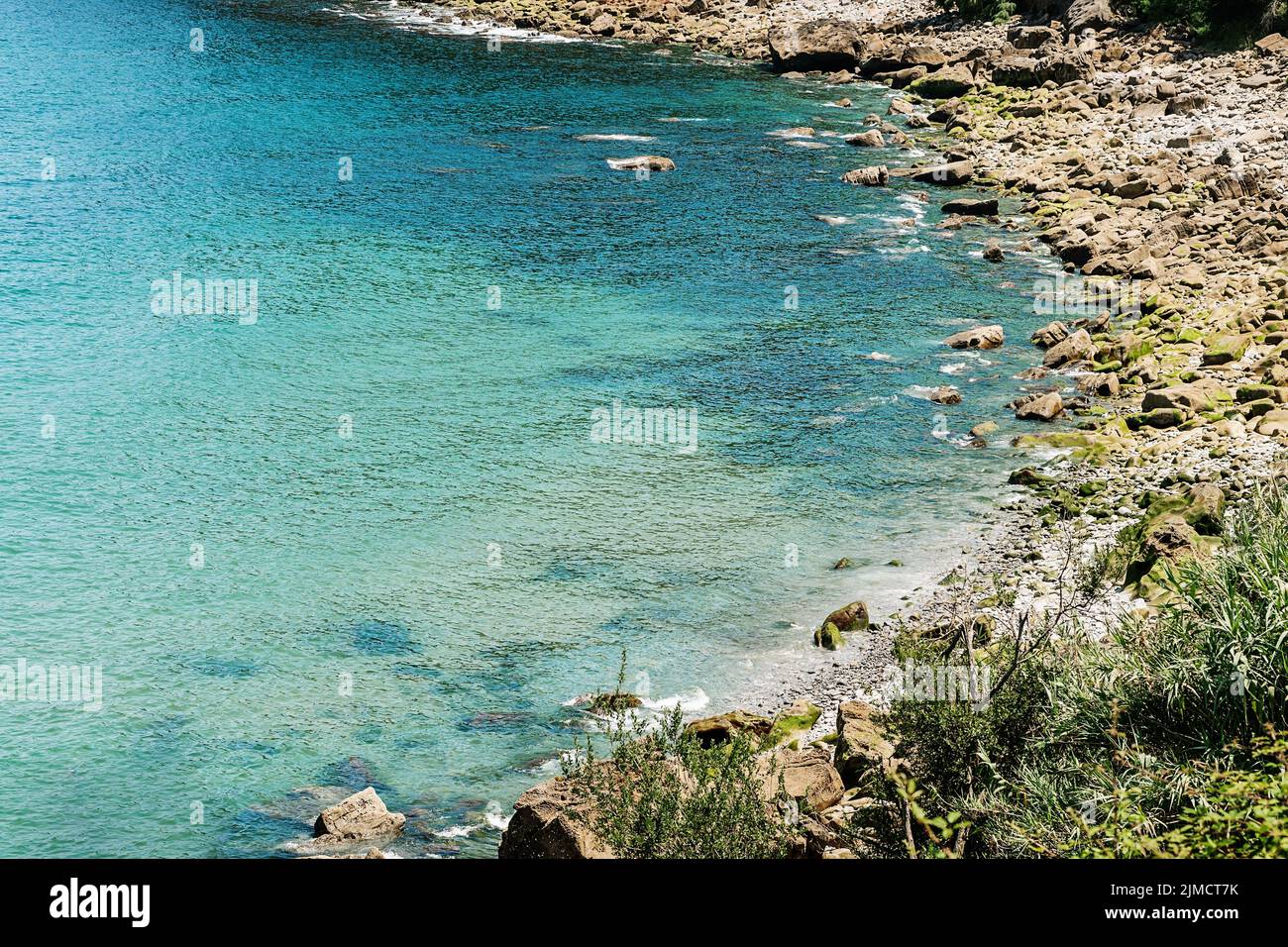 Shore with tall green trees and pebbles near clear sea water in ...