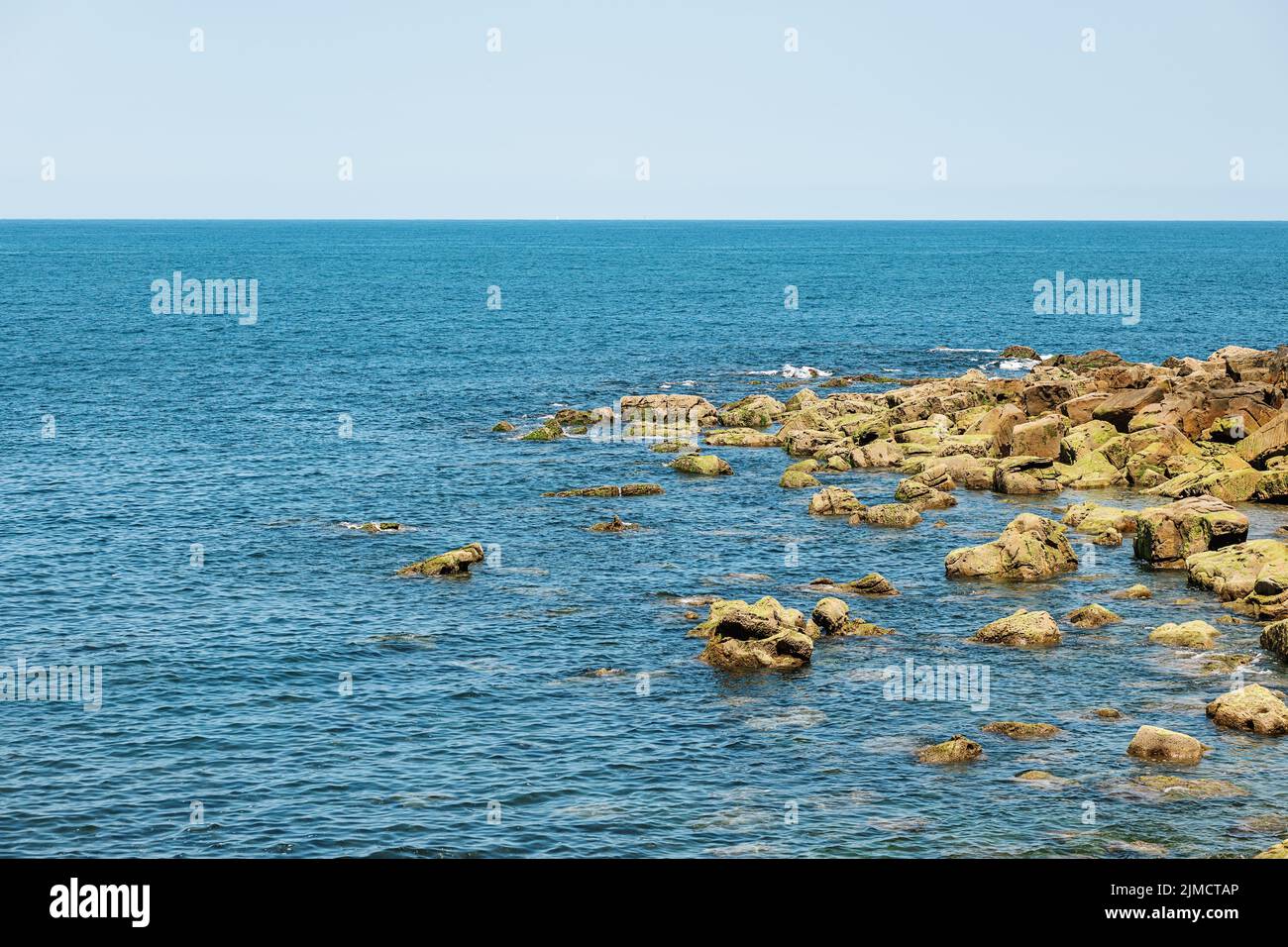 Clear seawater water moss hi-res stock photography and images - Alamy