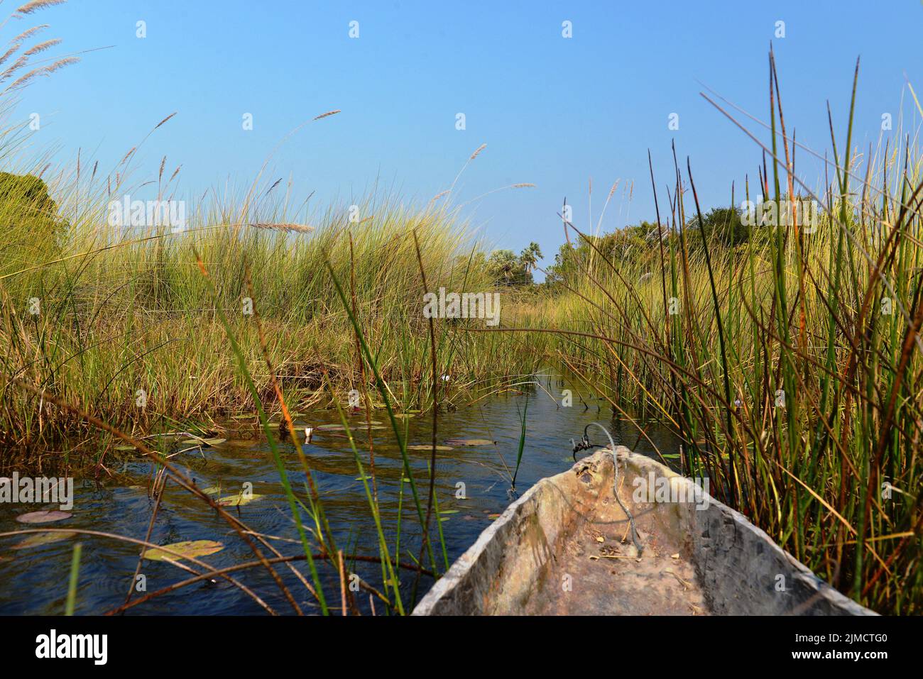 Okawango delta boat hi-res stock photography and images - Alamy