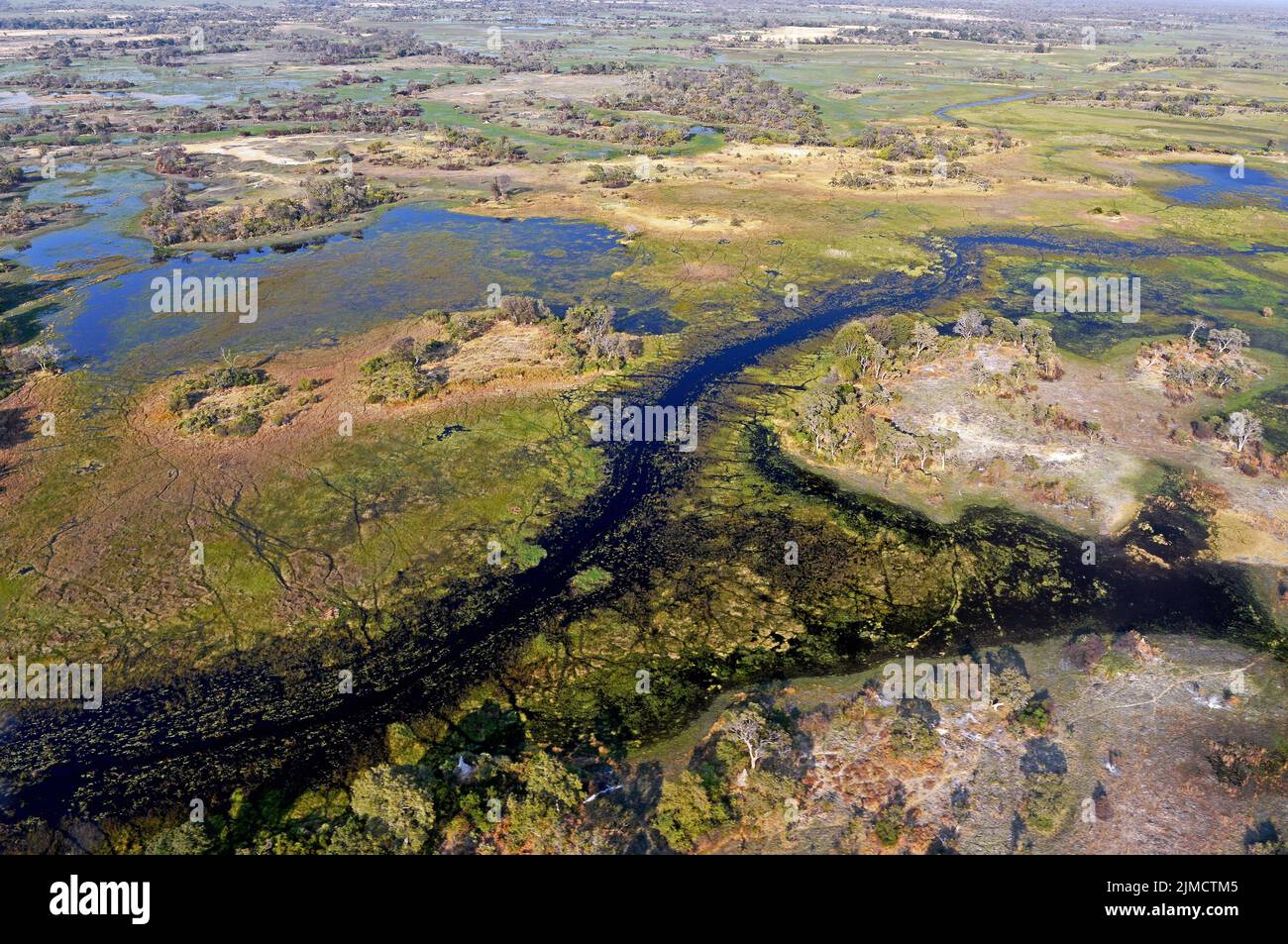 Okavango Delta , Botwana, Africa Stock Photo - Alamy
