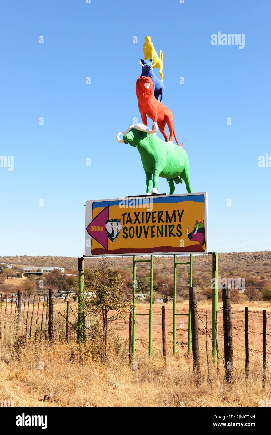 The Windhoek town musicians Stock Photo - Alamy