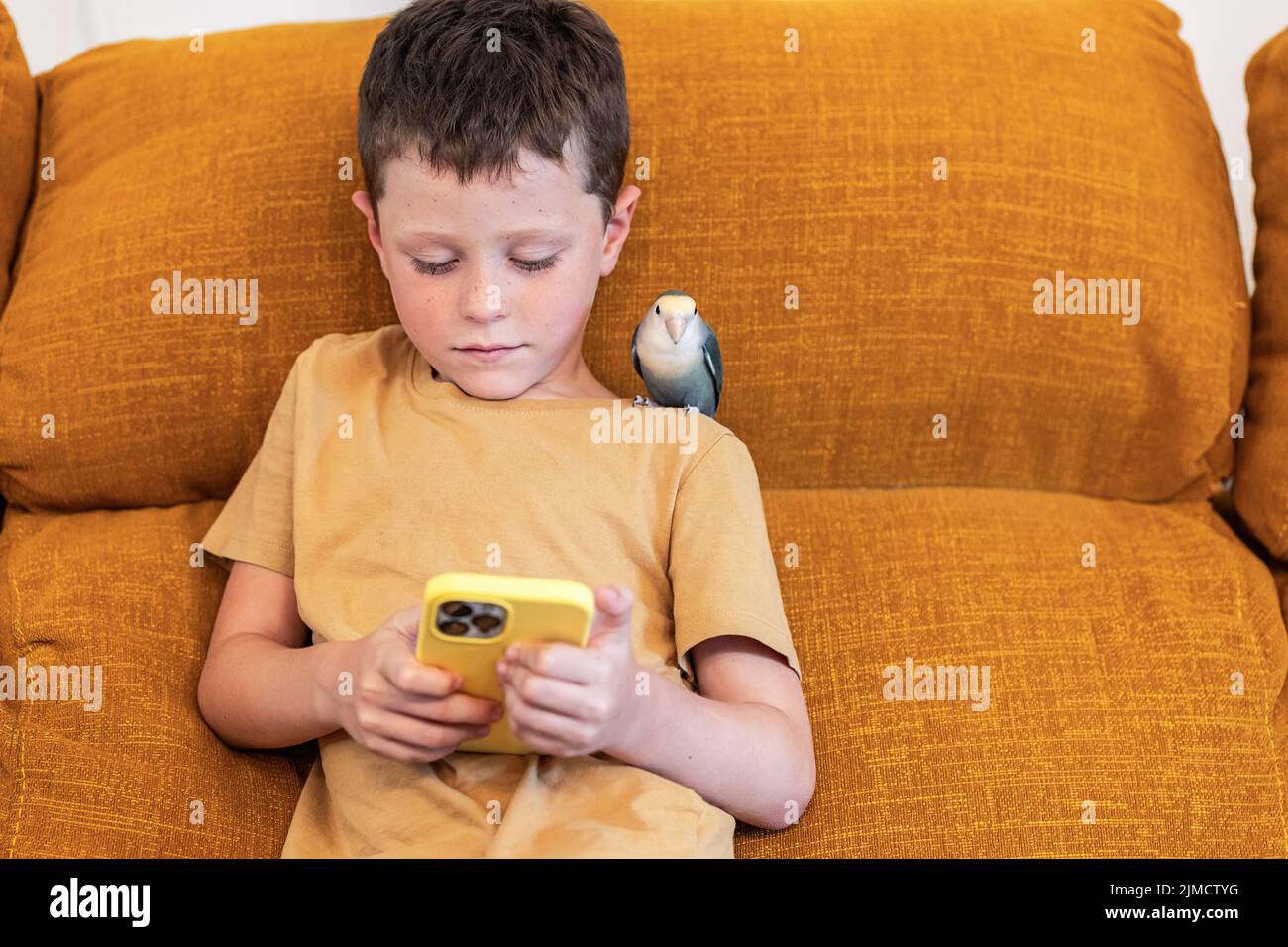 Boy sitting on a sofa with the mobile in his hand and a parakeet bird ...