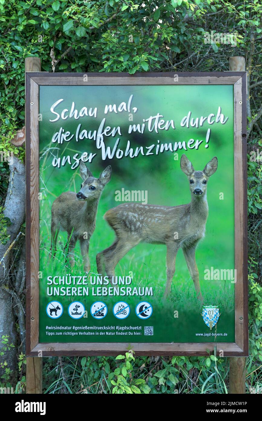 Animal protection, poster for the protection of forest animals, Bavaria ...