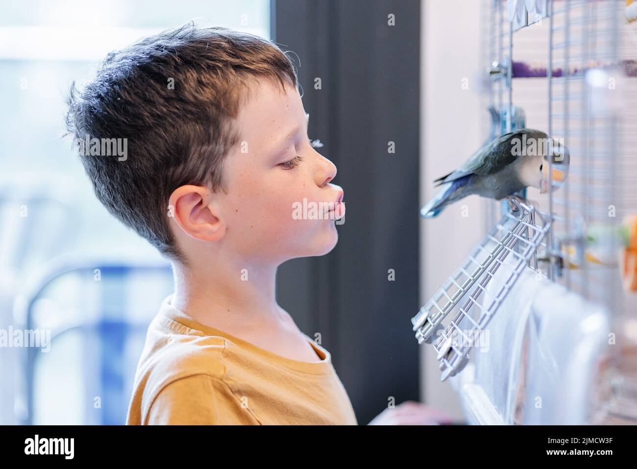 Close-up side view of a boy whistling to a blue and white parakeet ...