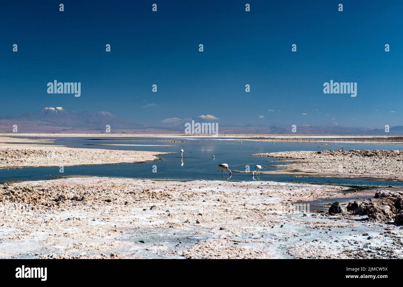 Salar de Atacama, Atacama salt lake Stock Photo - Alamy