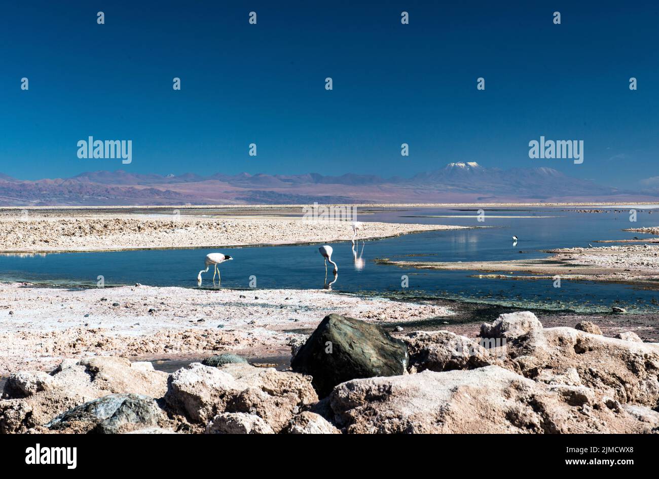 Salar de Atacama, Atacama salt lake Stock Photo - Alamy