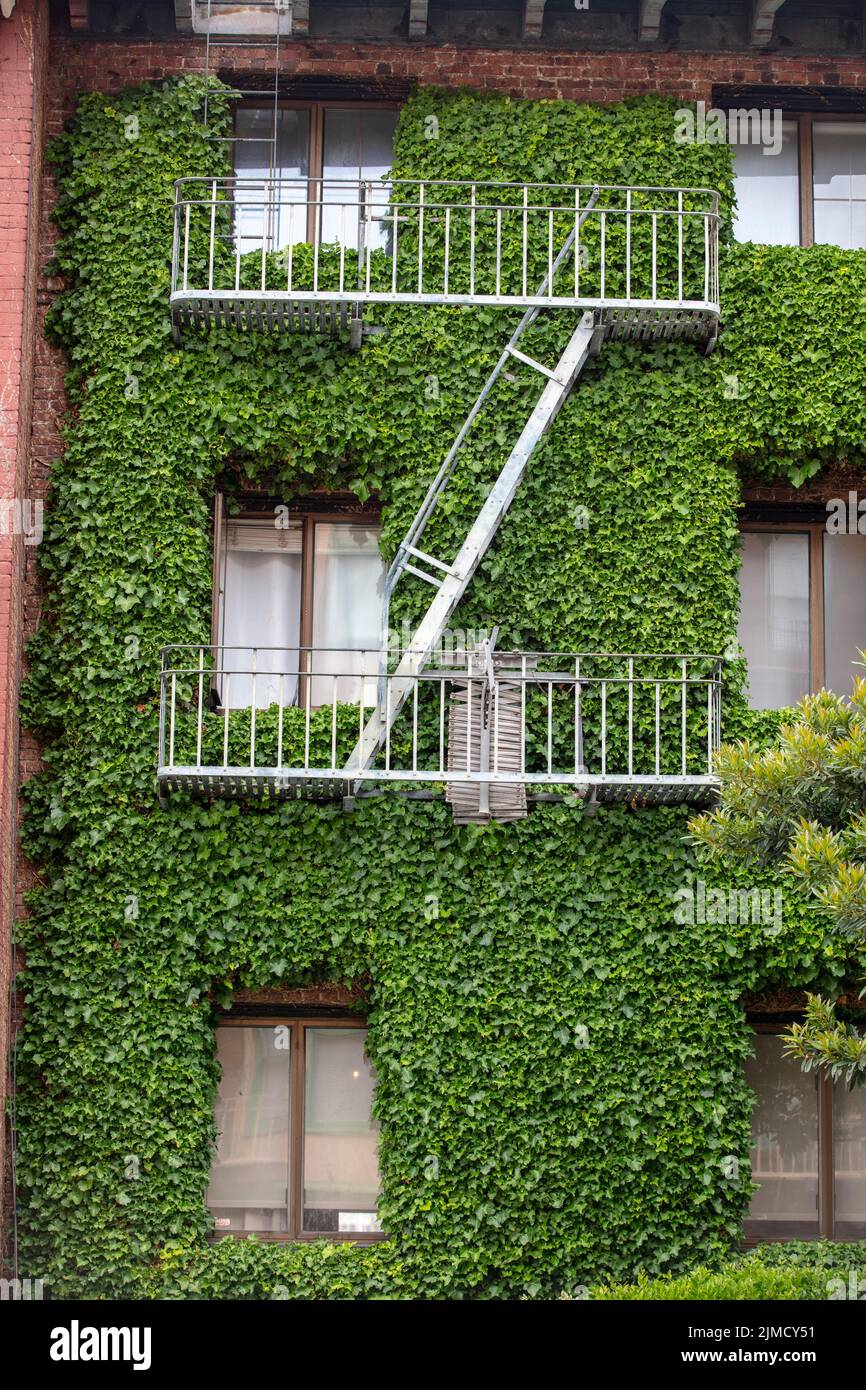 Windows and escape stairs, downtown building, San Francisco, California ...
