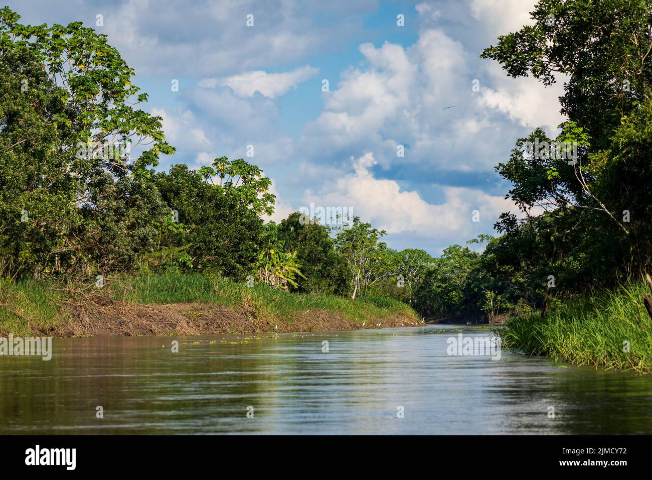 Yanayacu River in Northern Peru is a tributary to the Amazon River ...