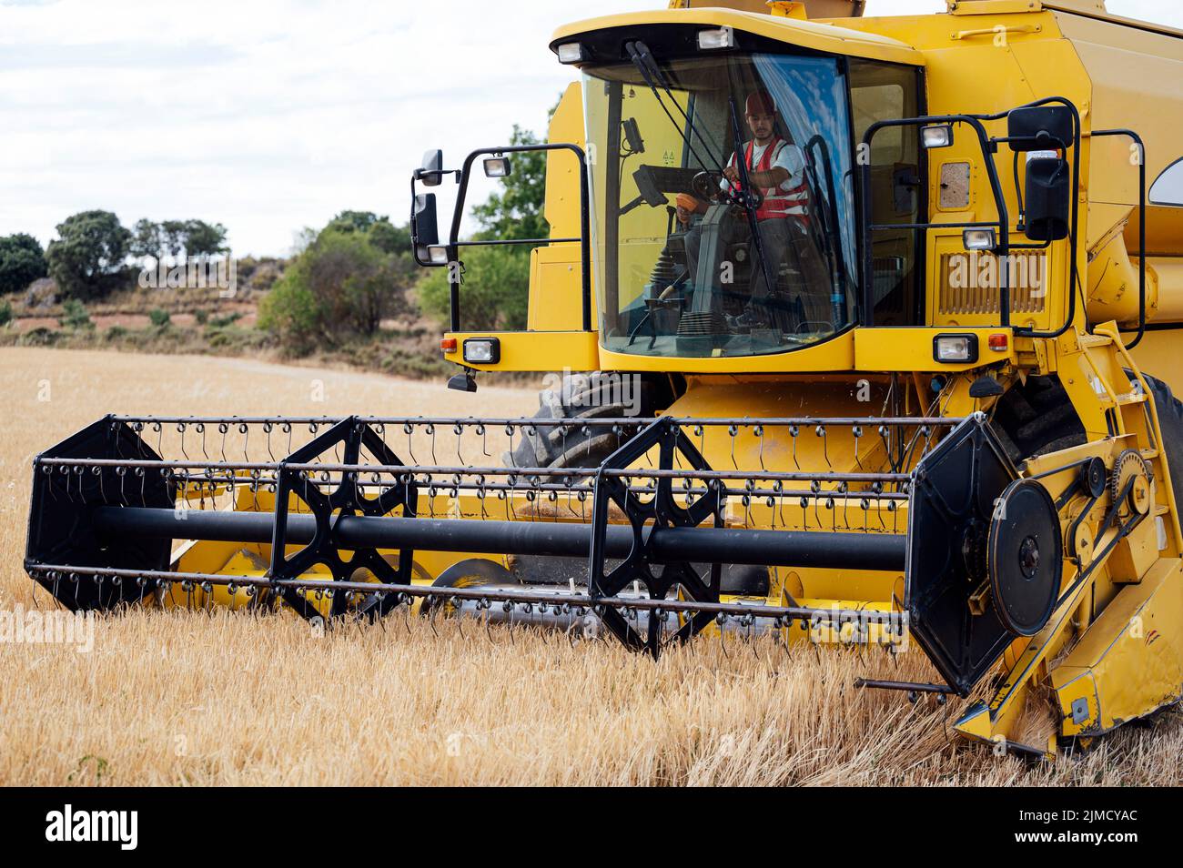 Industrial yellow combine harvester collecting grain crops with metal ...