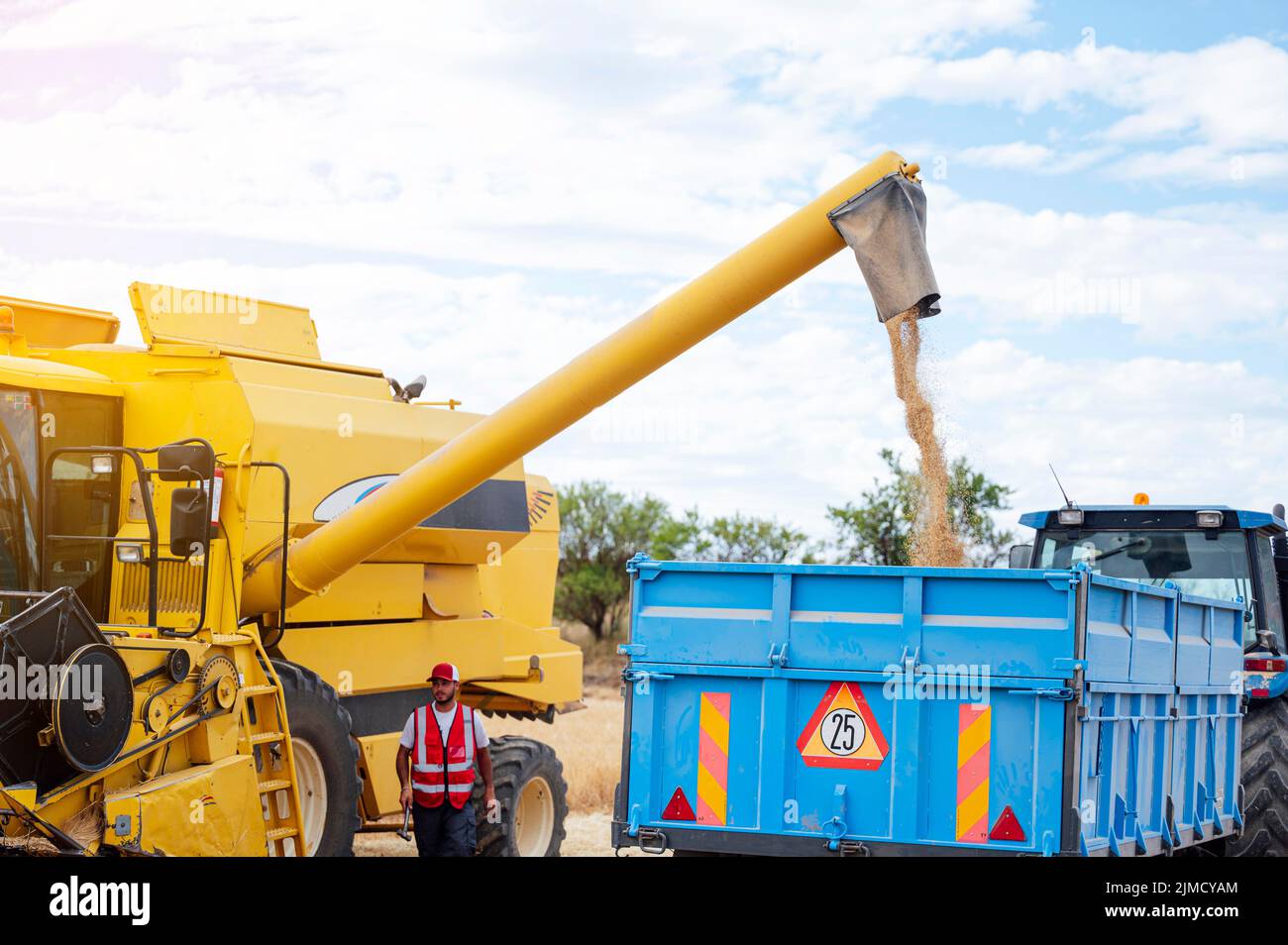 Male farmer standing near industrial combine harvester unloading dried ...