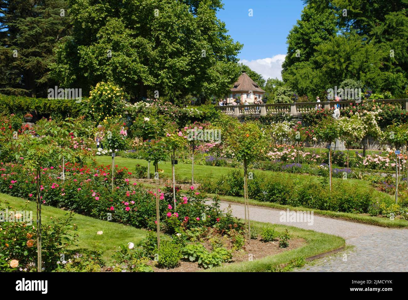 Italian Rose Garden, Mainau Island, Lake Constance, Baden-Wuerttemberg ...
