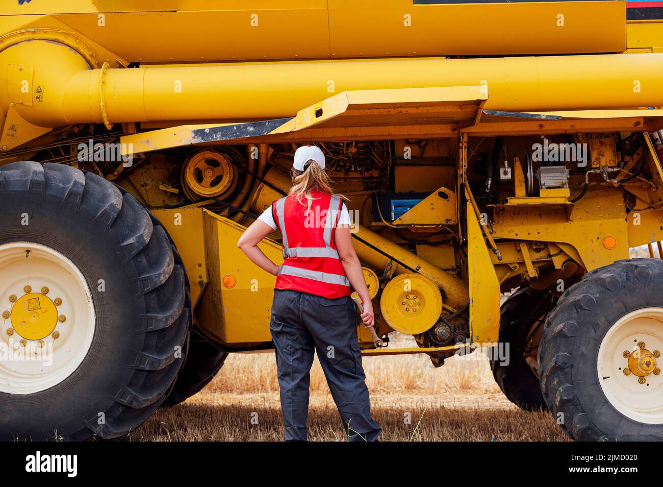 Female harvester on hi-res stock photography and images - Alamy