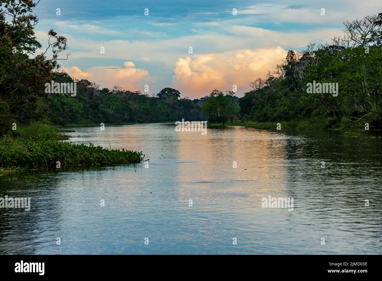 Yanayacu River in Northern Peru is a tributary to the Amazon River ...