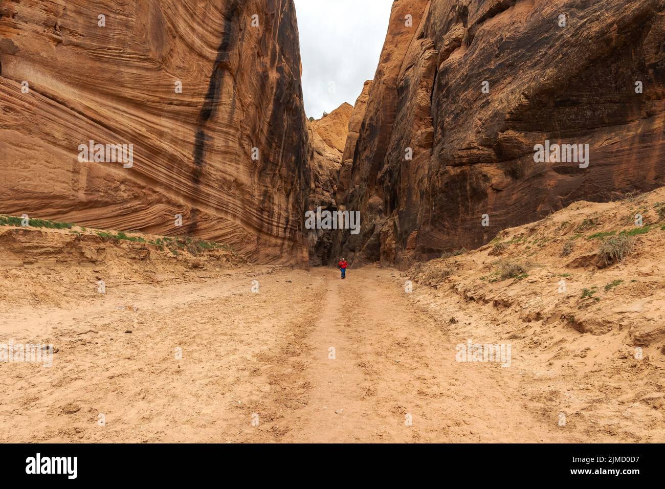 Hiker walking along dry path through narrow Buckskin Gulch Canyon while ...