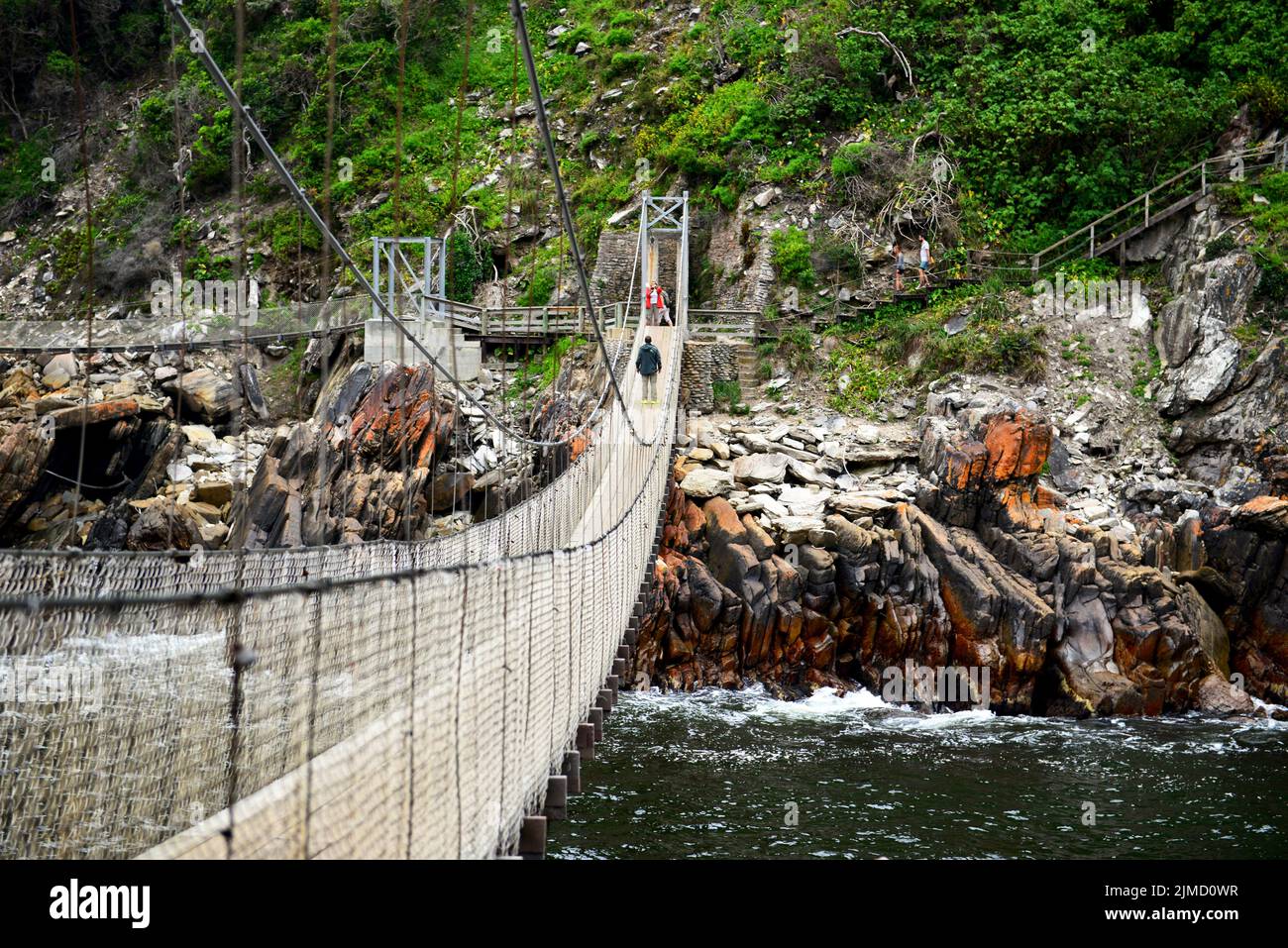 Storms River suspension bridge, Tsitsikamma National Park Stock Photo ...