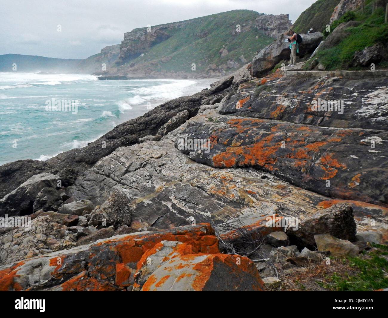 Robberg nature reserve hi-res stock photography and images - Alamy