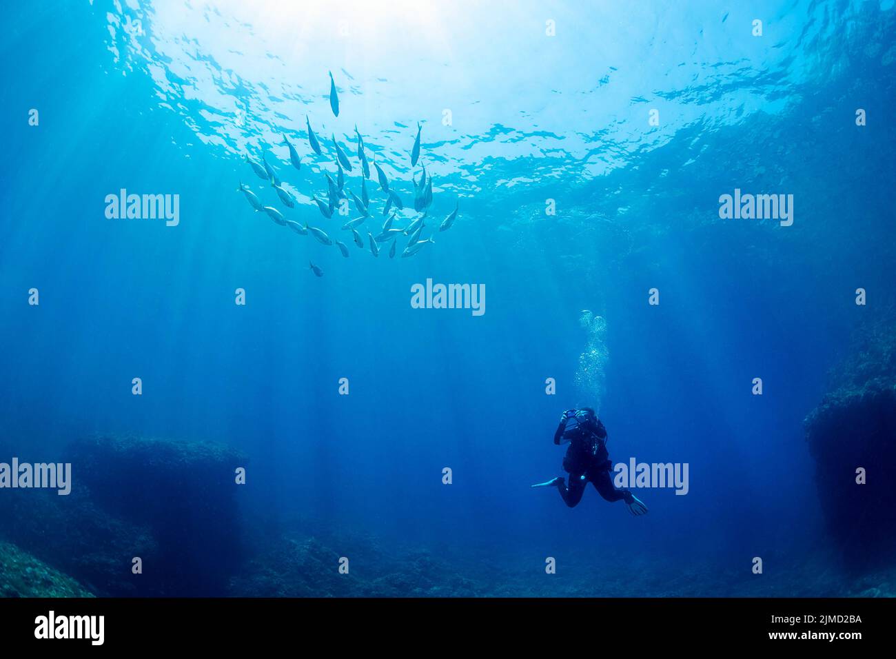 Full body from below of professional diver taking photo on photo camera ...