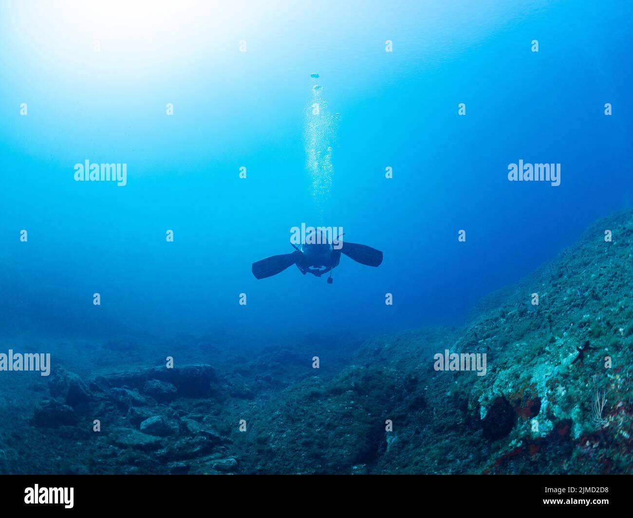 Unrecognizable professional diver in wetsuits and flippers swimming ...