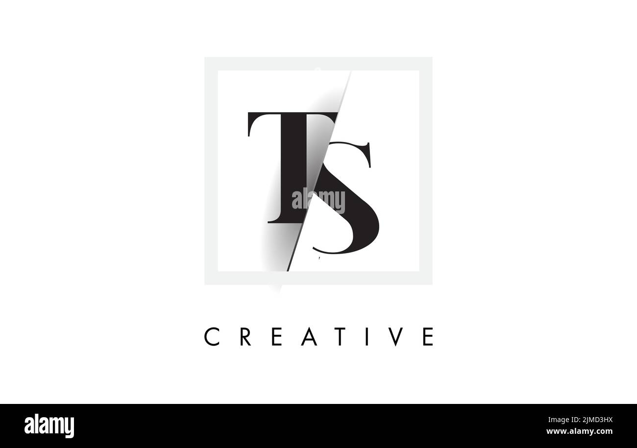TS Letter Logo Design with Creative Intersected and Cutted Serif Font ...
