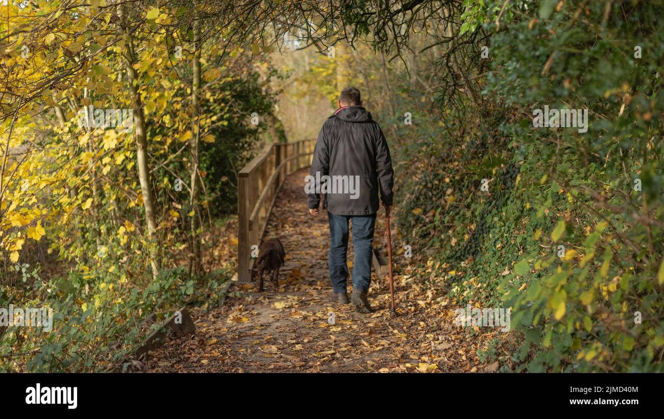 Dog walker with his black dog and walking stick walking along in the ...
