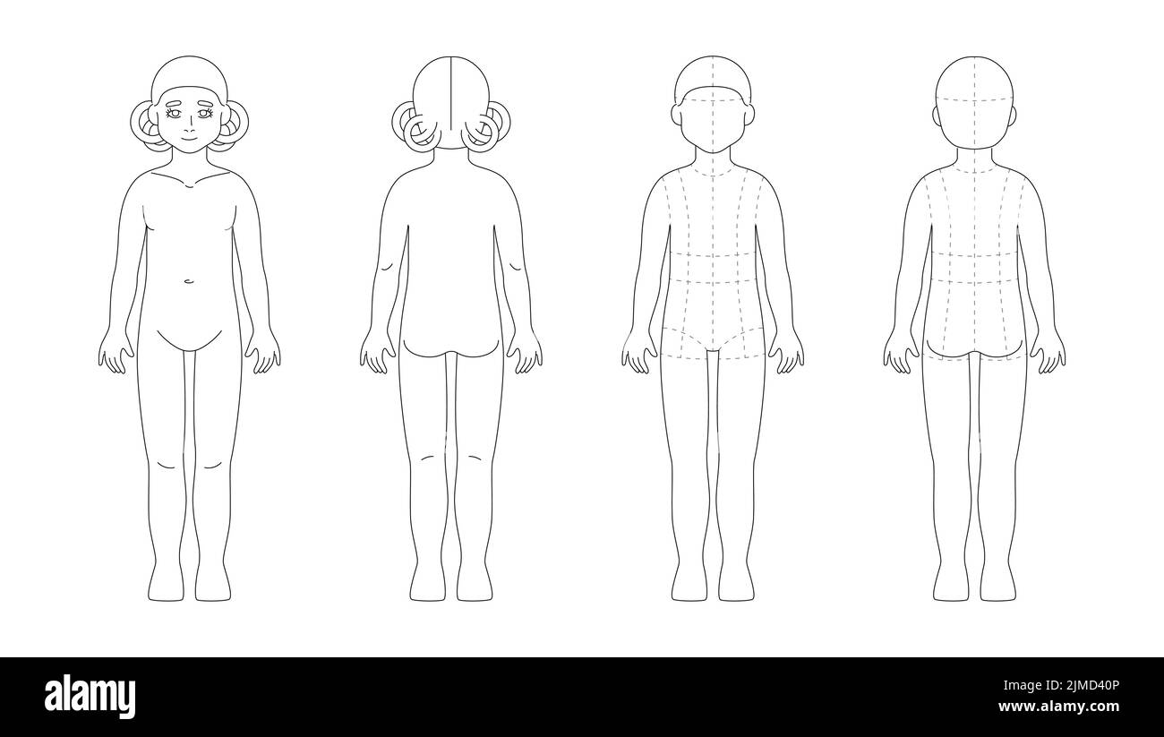 Body Proportions Activity