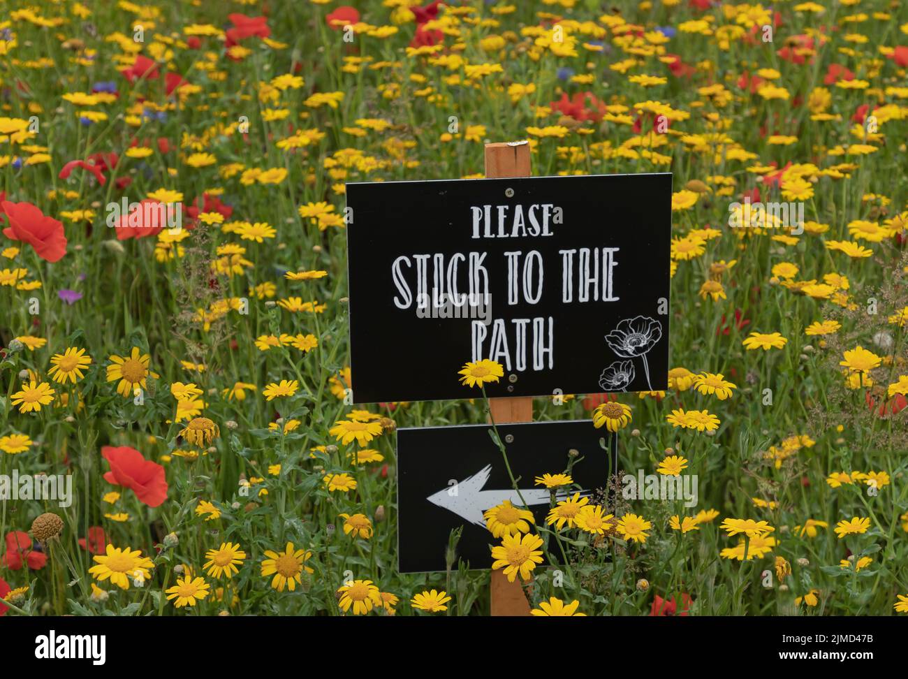 sign in a wild flower meadow asking people to stay on the path and not ...