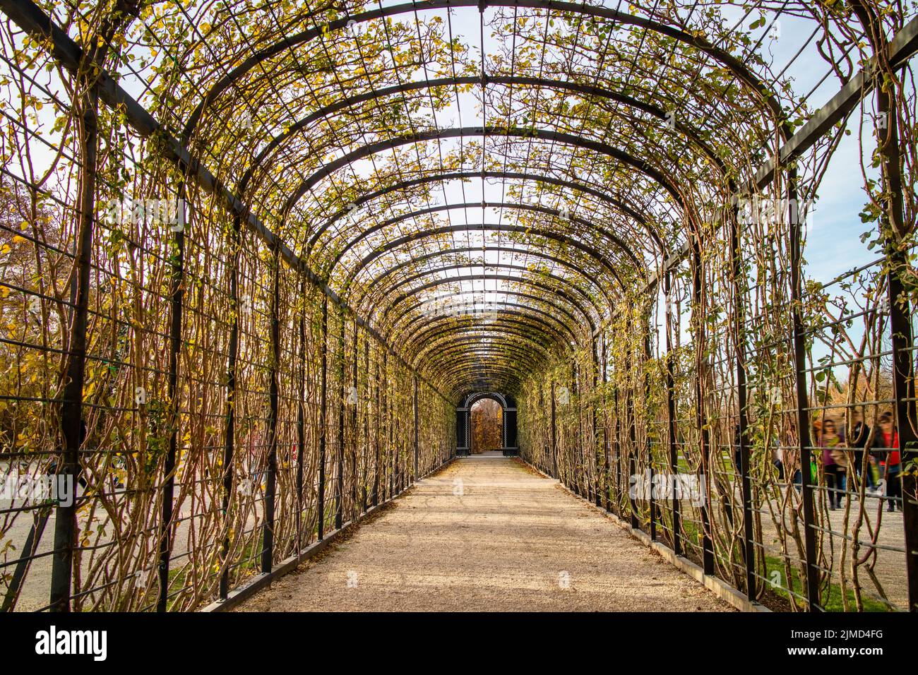 Arched pergola hi-res stock photography and images - Alamy