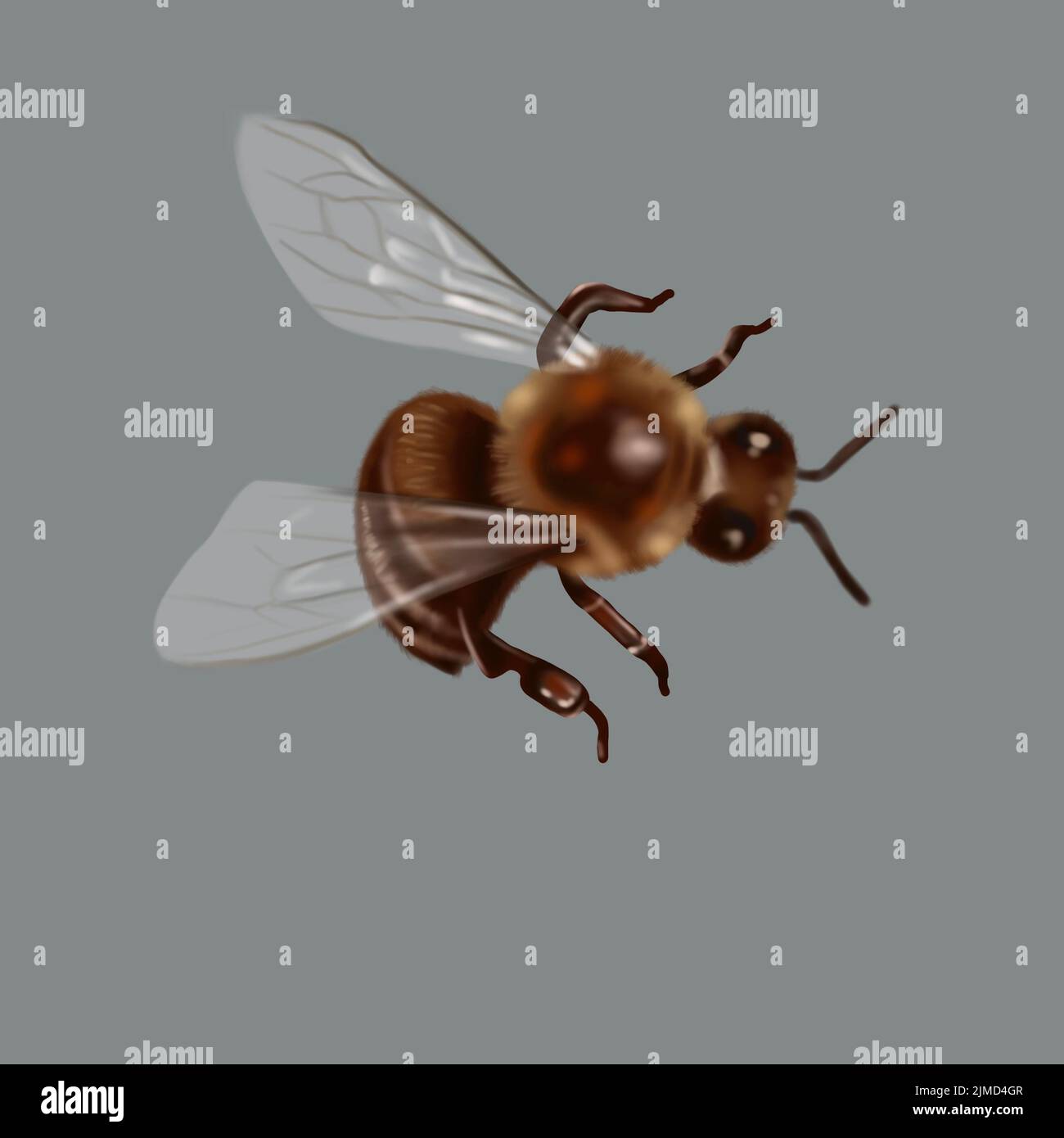 watercolor realistic bee. honey bees isolated Stock Photo - Alamy