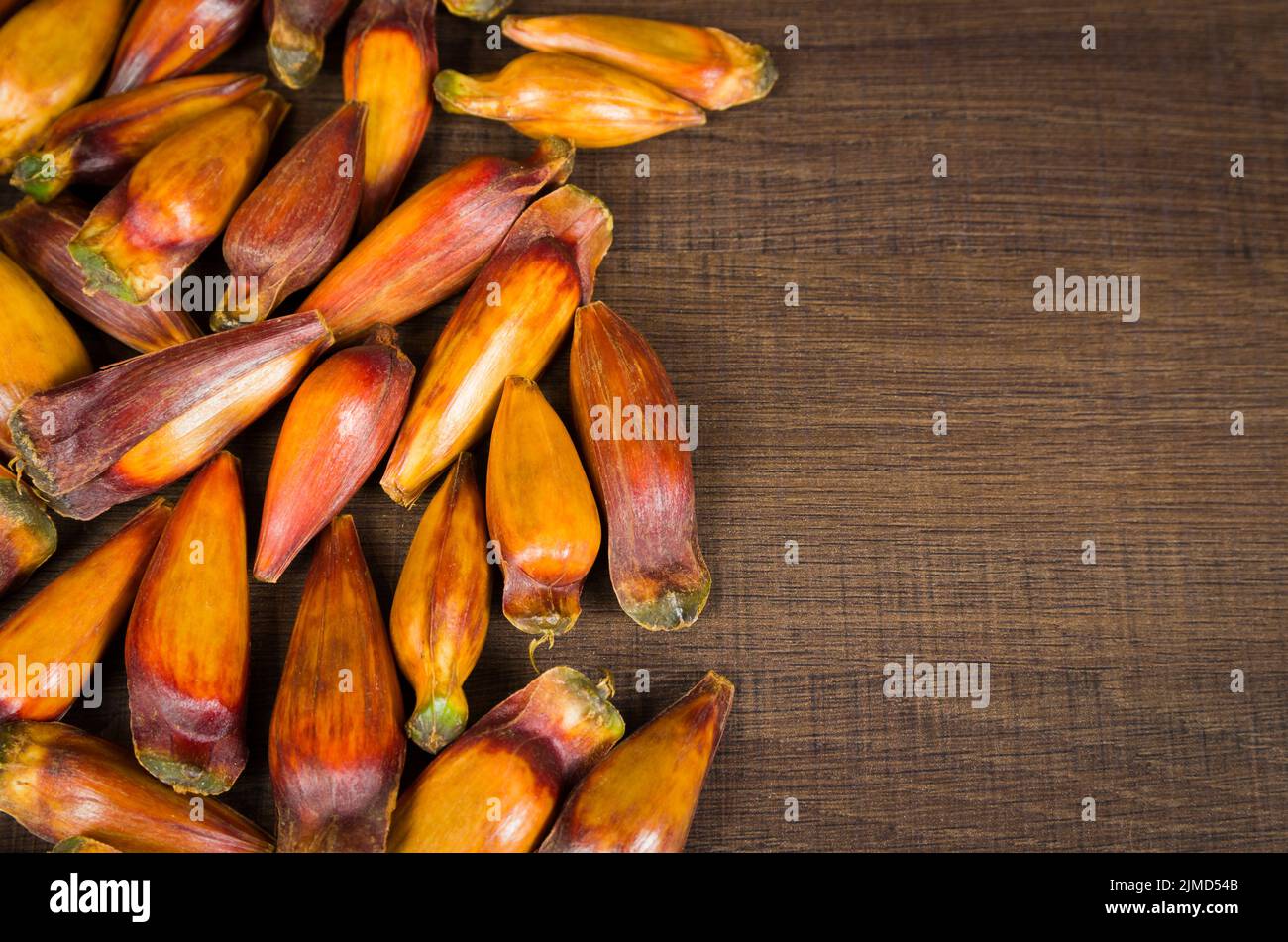 Pinion, traditional Brazilian food, seed of the auraucaria Stock Photo ...