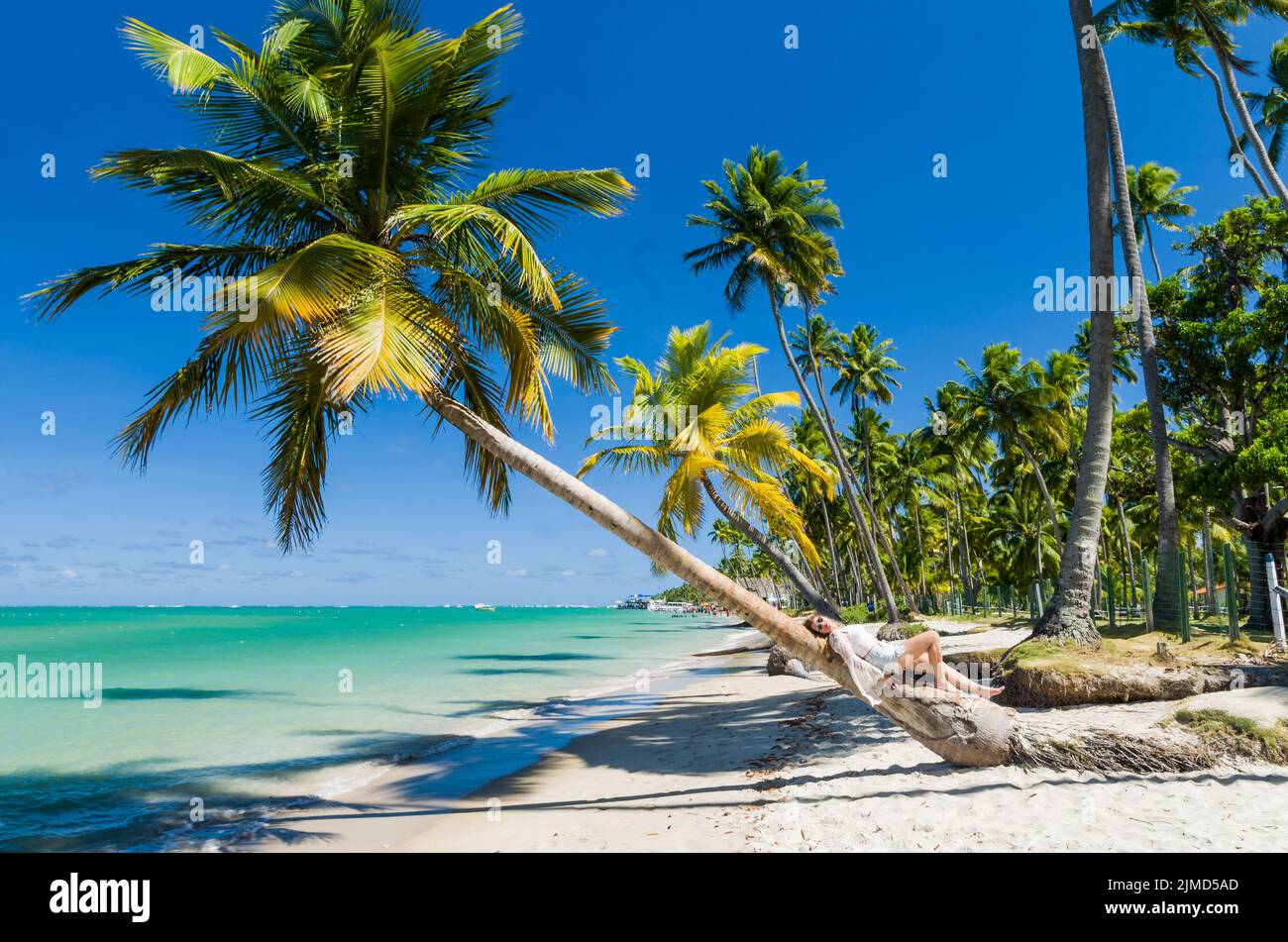 Coconut Tree Island
