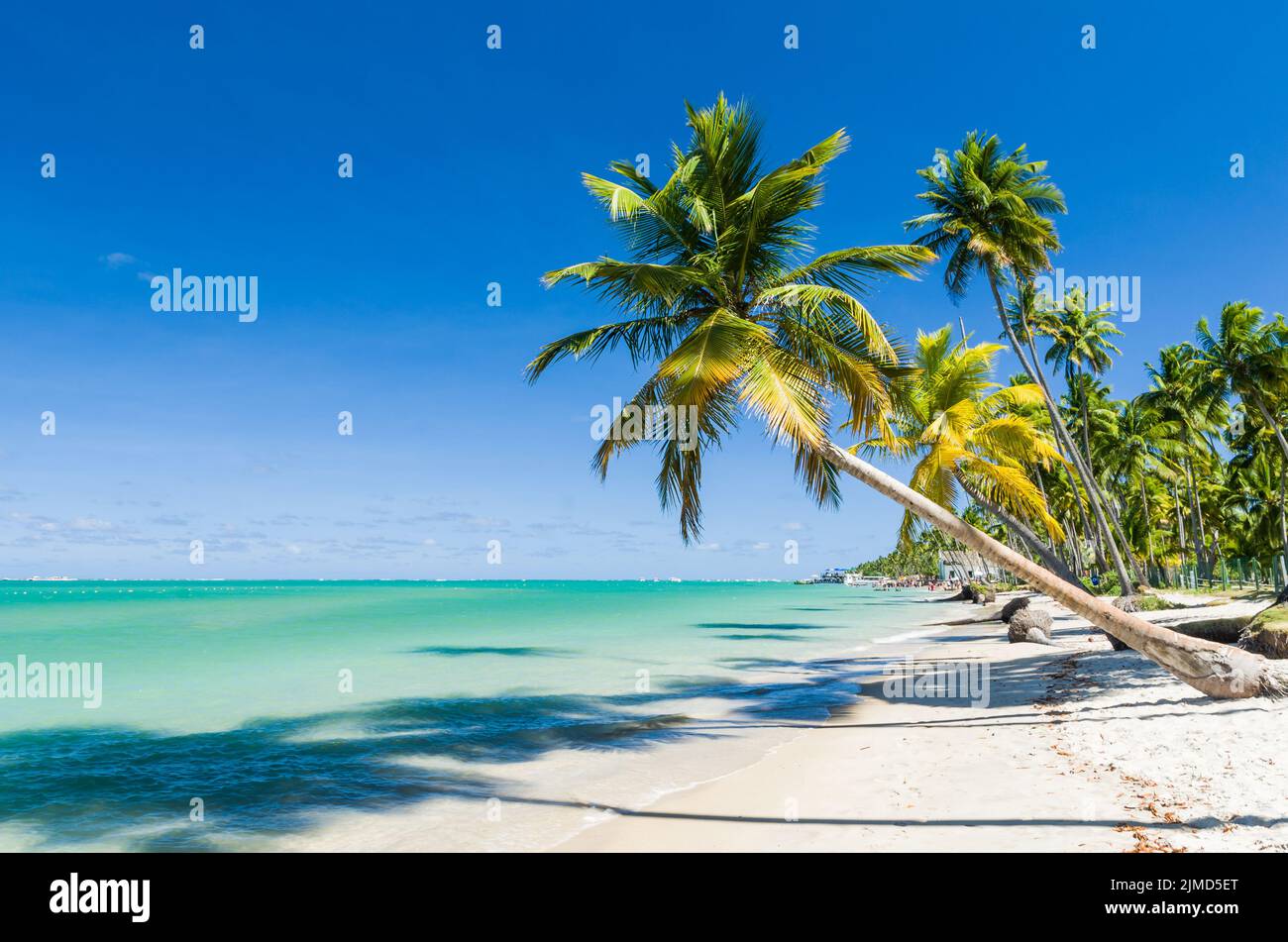 Bahamas lebanon hi-res stock photography and images - Alamy