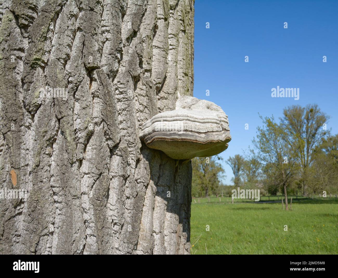 Tinder hi-res stock photography and images - Alamy