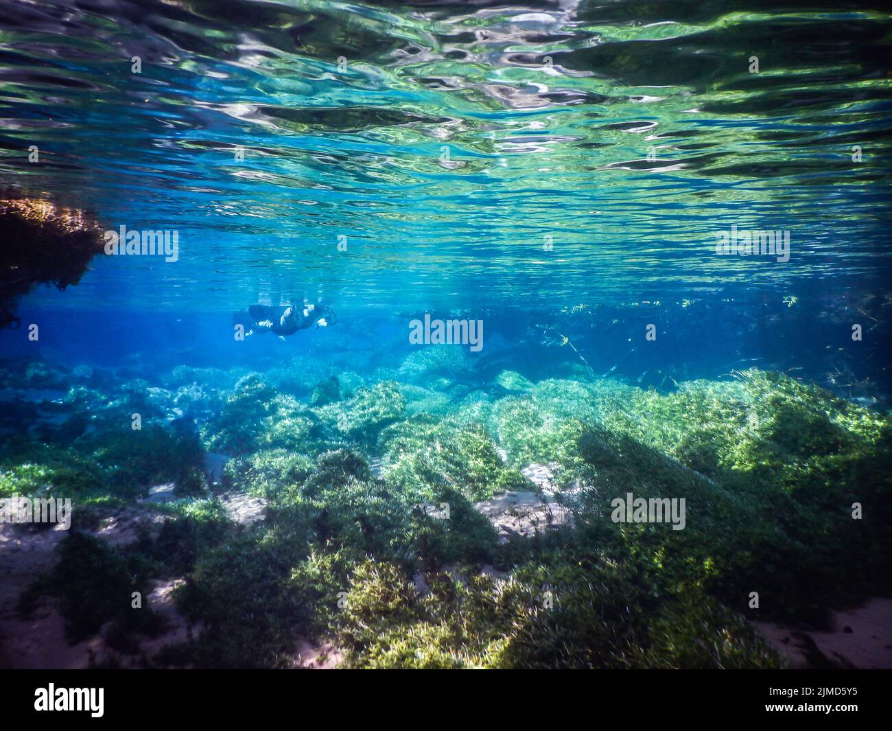 Practicing diving and snorkeling, mysterious lagoon, beautiful lagoon ...