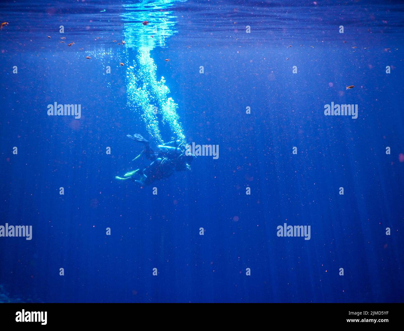 Practicing diving and snorkeling, mysterious lagoon, beautiful lagoon ...