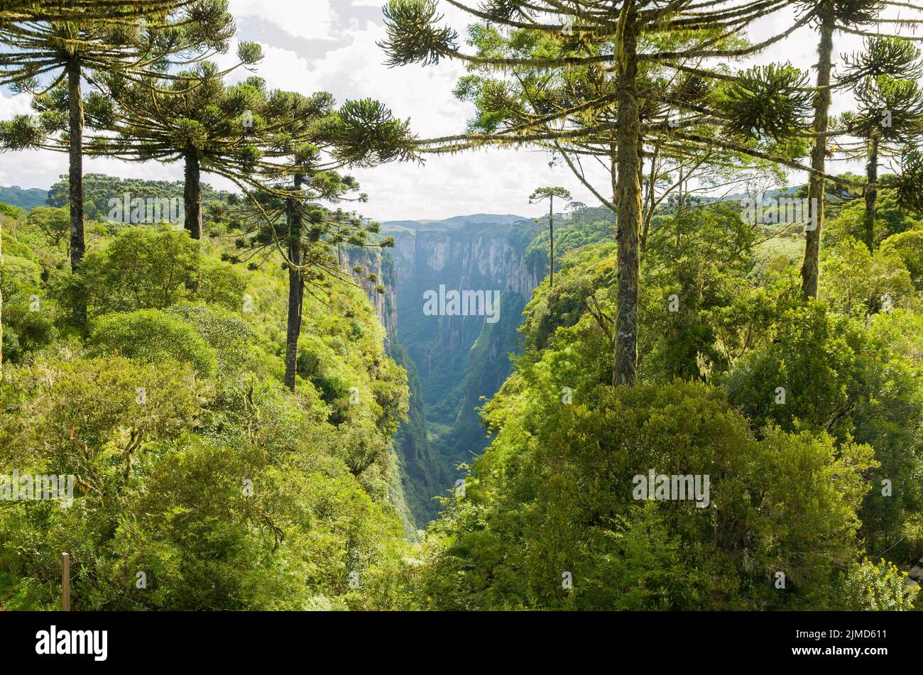 Parque rio grande hi-res stock photography and images - Alamy