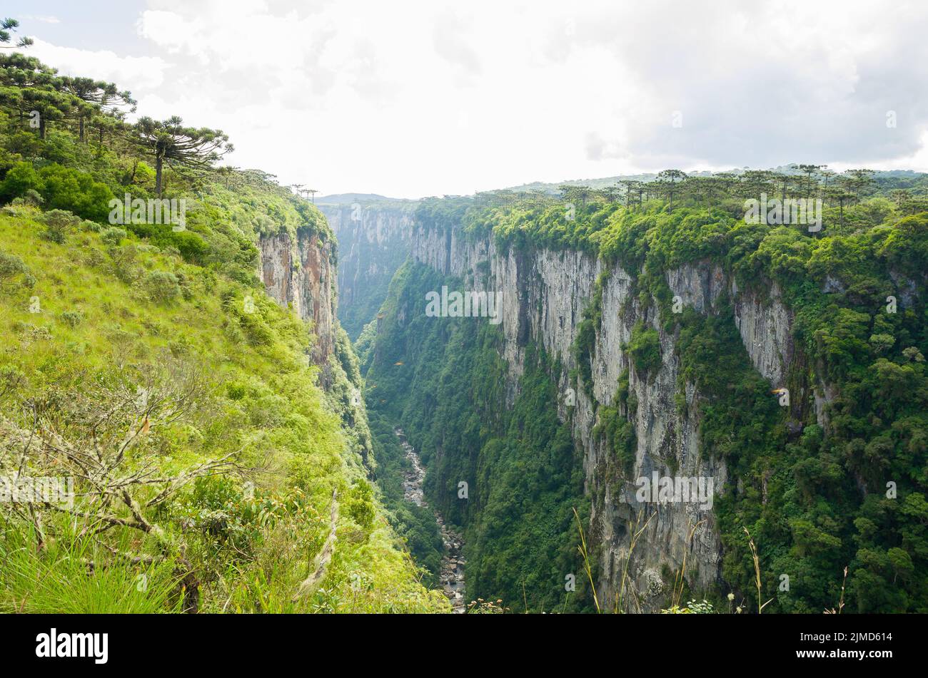 Rainforest canyon hi-res stock photography and images - Alamy