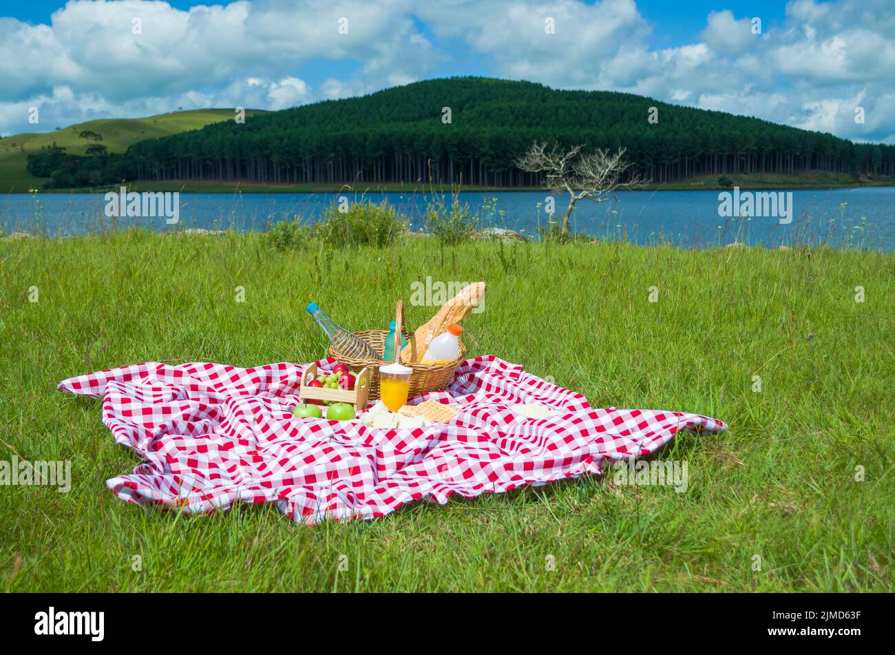Great concept of pic-nic, pic-nic with fruits and juice on green lawn ...