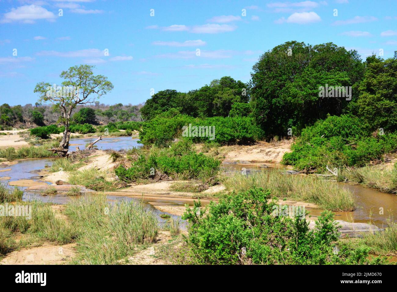 Landscape of the Kruger National Park in South Africa.The Kruger Park ...