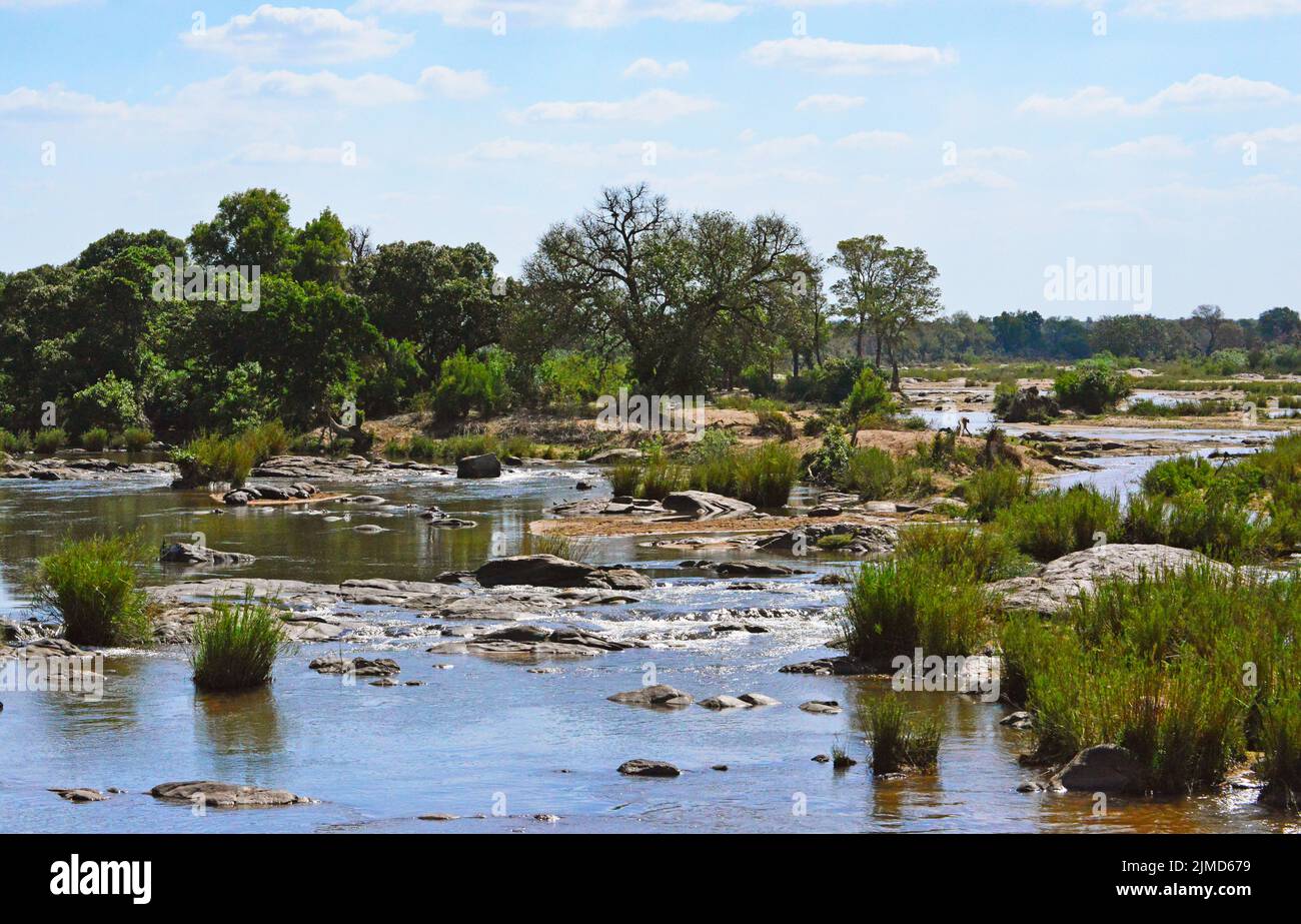 Landscape of the Kruger National Park in South Africa.The Kruger Park ...