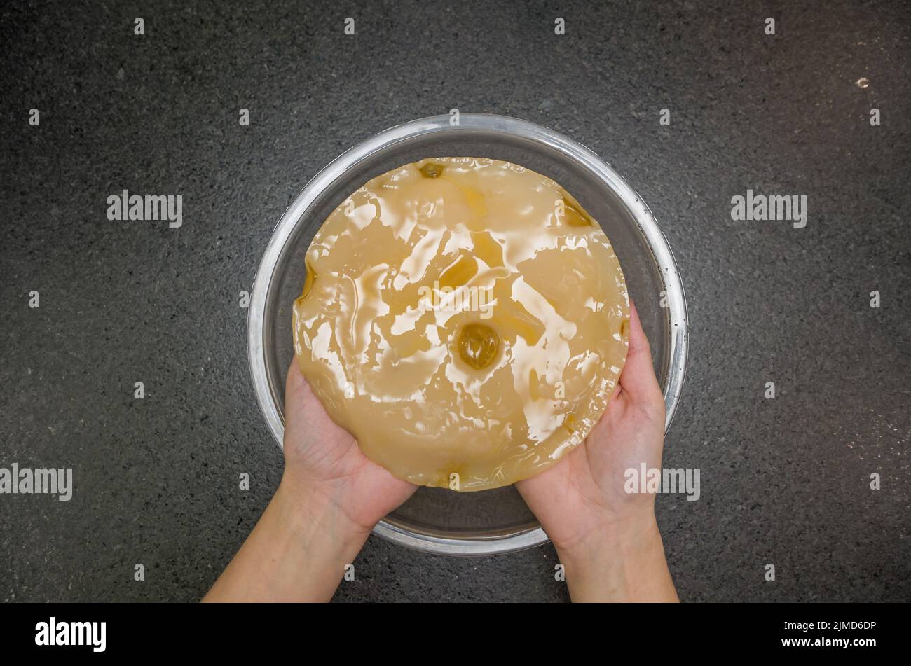 Hand holding kombucha scoby hi-res stock photography and images - Alamy