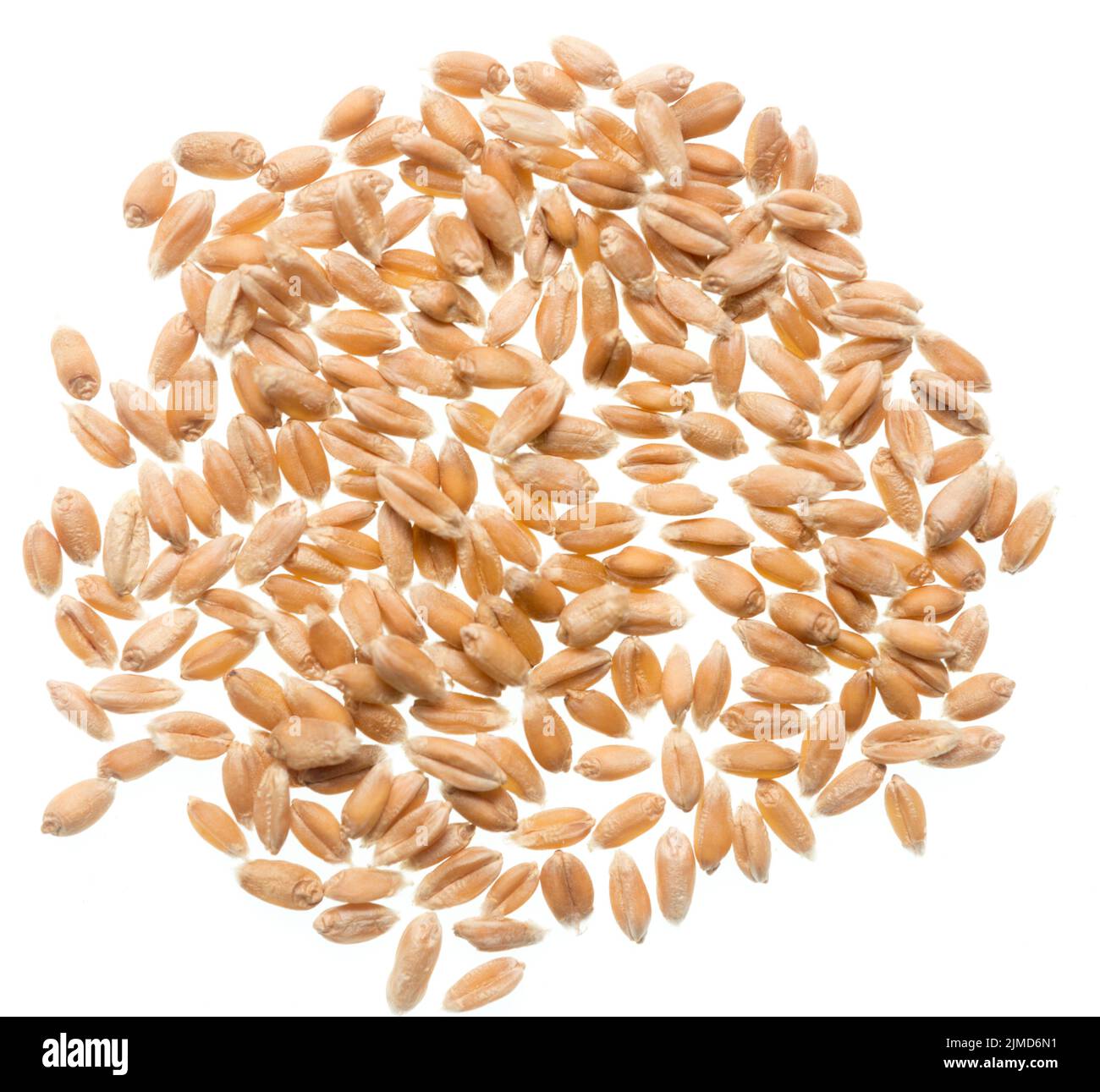 Sweetcorn grain Cut Out Stock Images & Pictures - Alamy