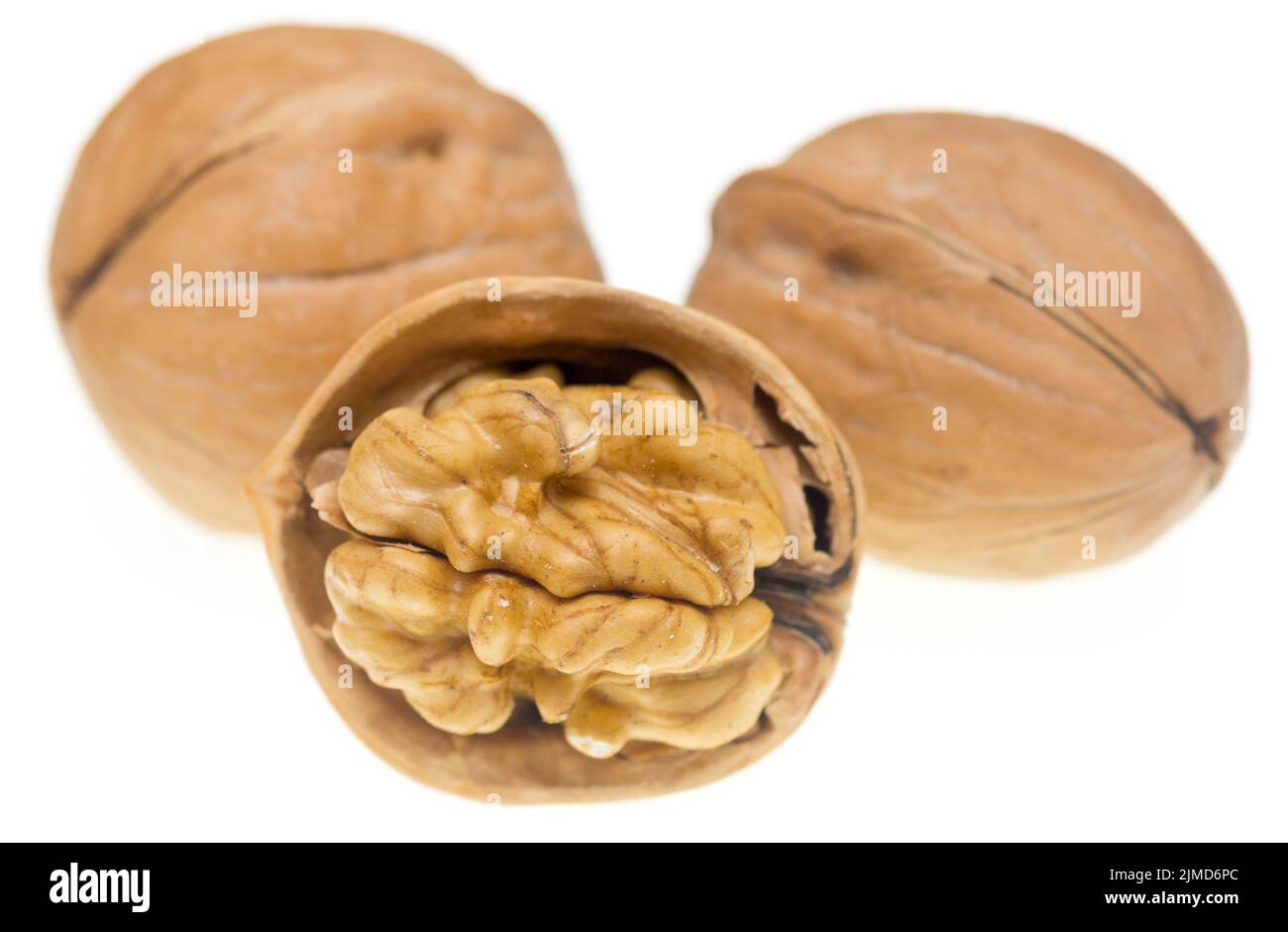 Three fresh walnut on hi-res stock photography and images - Alamy