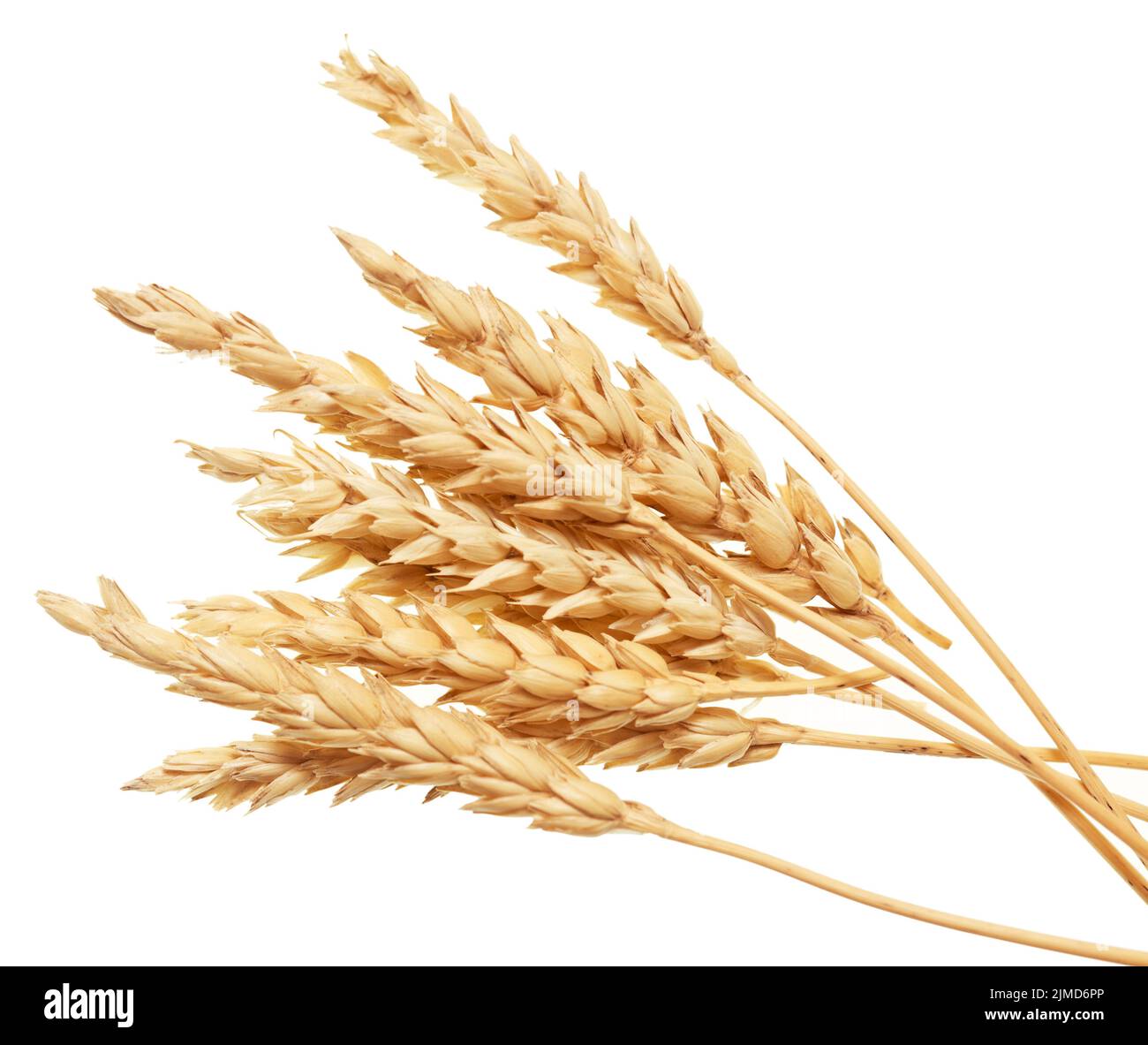 Wheat on white Stock Photo - Alamy