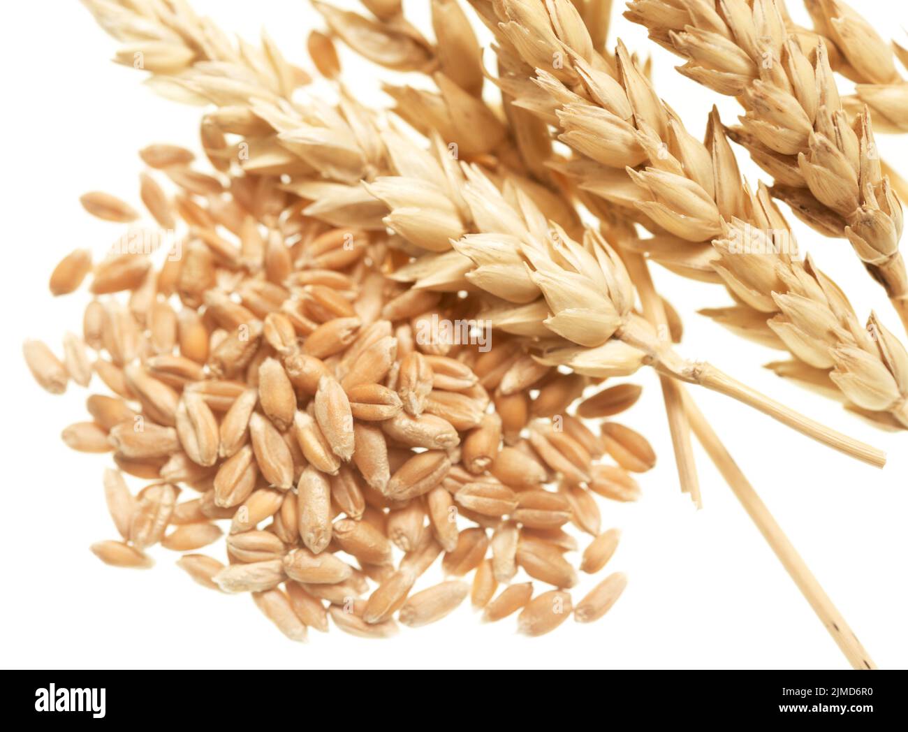 Close up wheat cereal hi-res stock photography and images - Alamy
