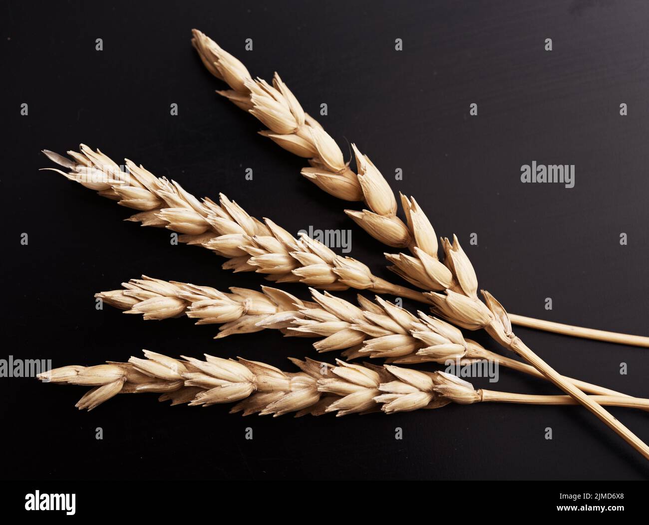 Black wheat hi-res stock photography and images - Alamy