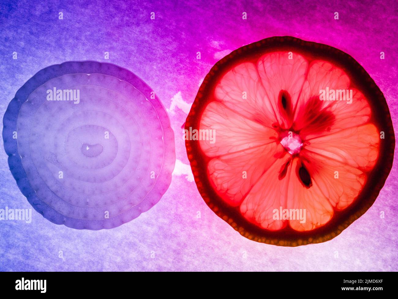 Onion and lemon thin slices macro capture, colorfully illuminated and ...