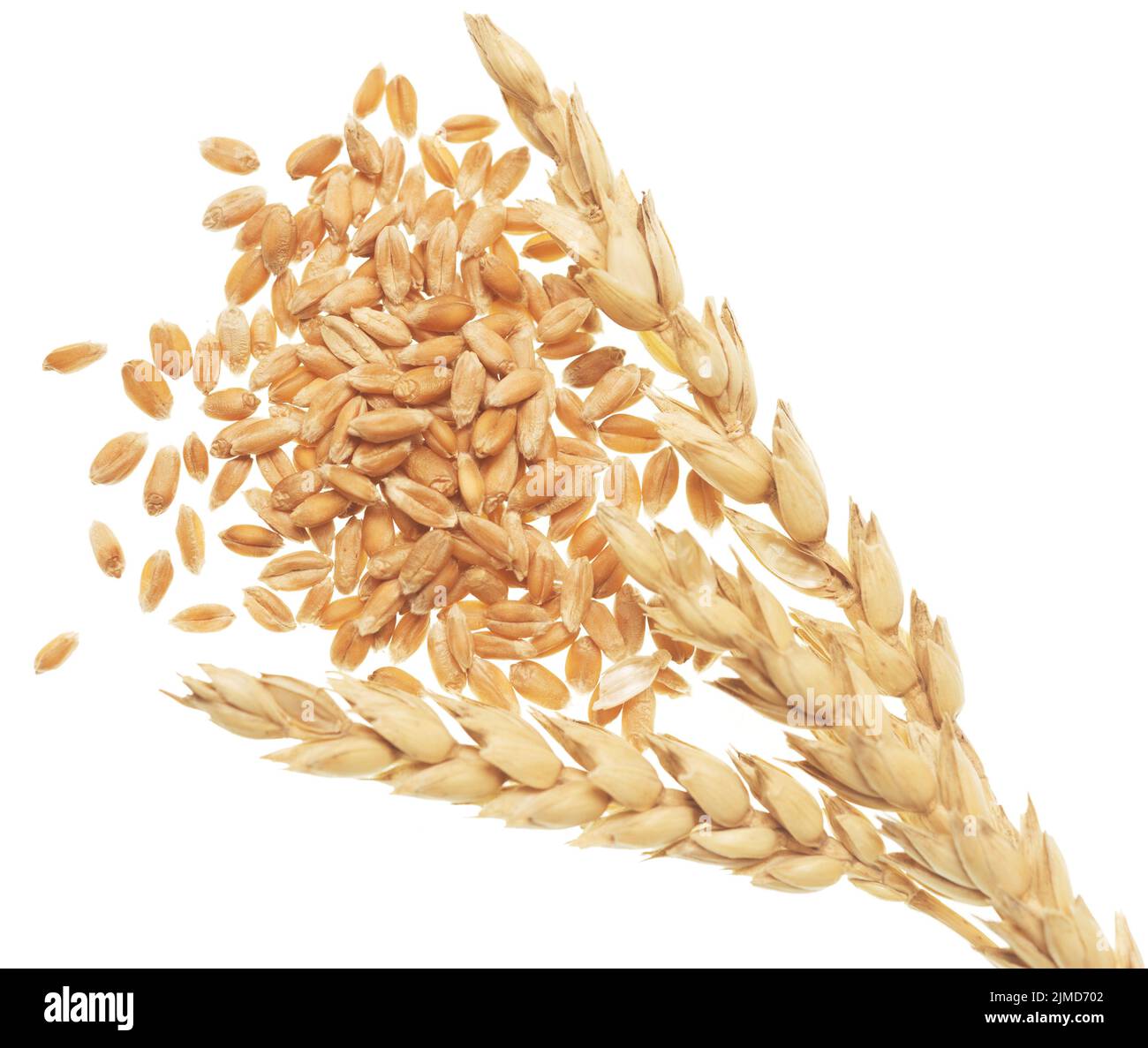 Wheat on white Stock Photo - Alamy